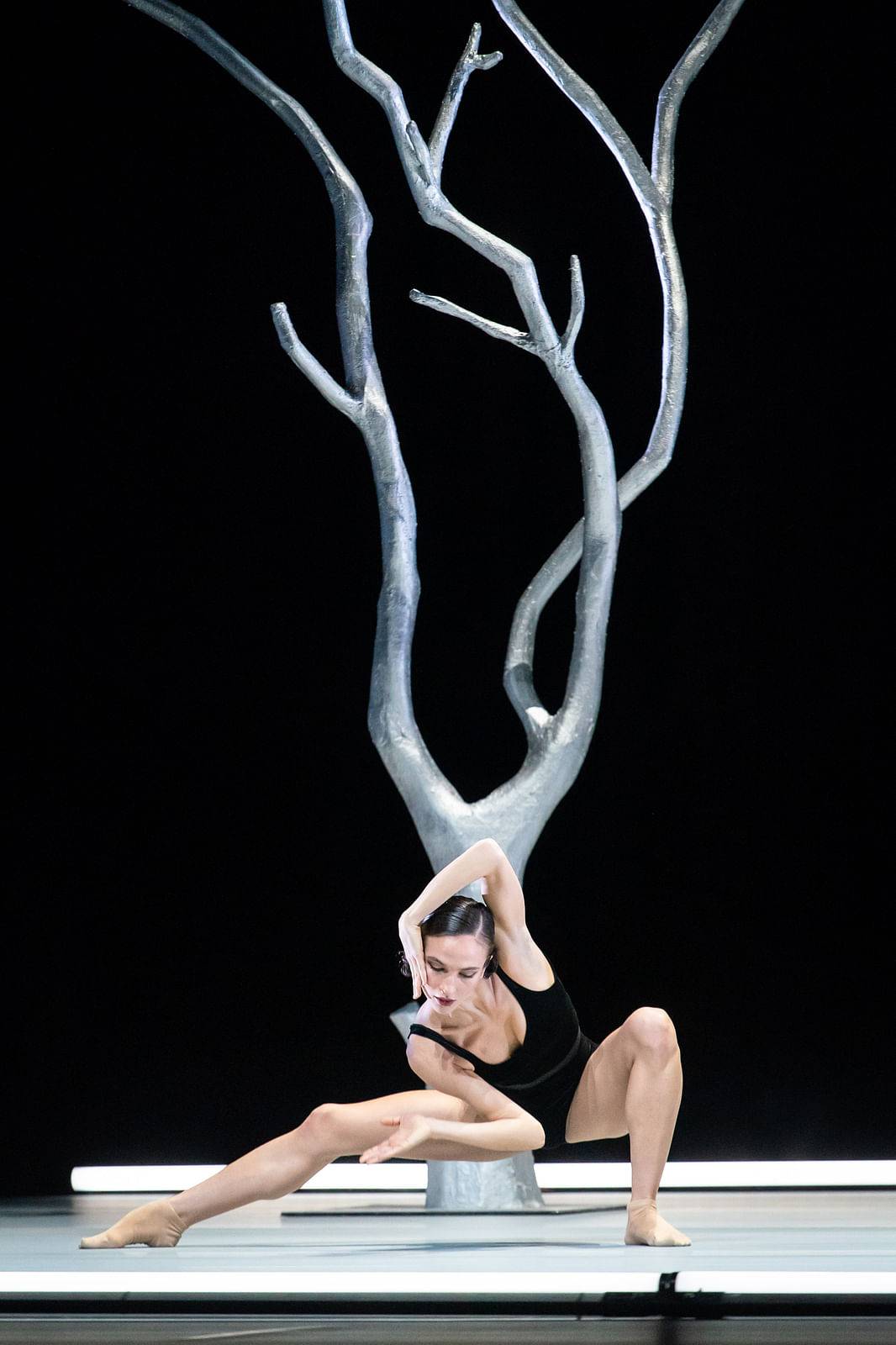 Wiener Staatsballett - Volksoper Wien
