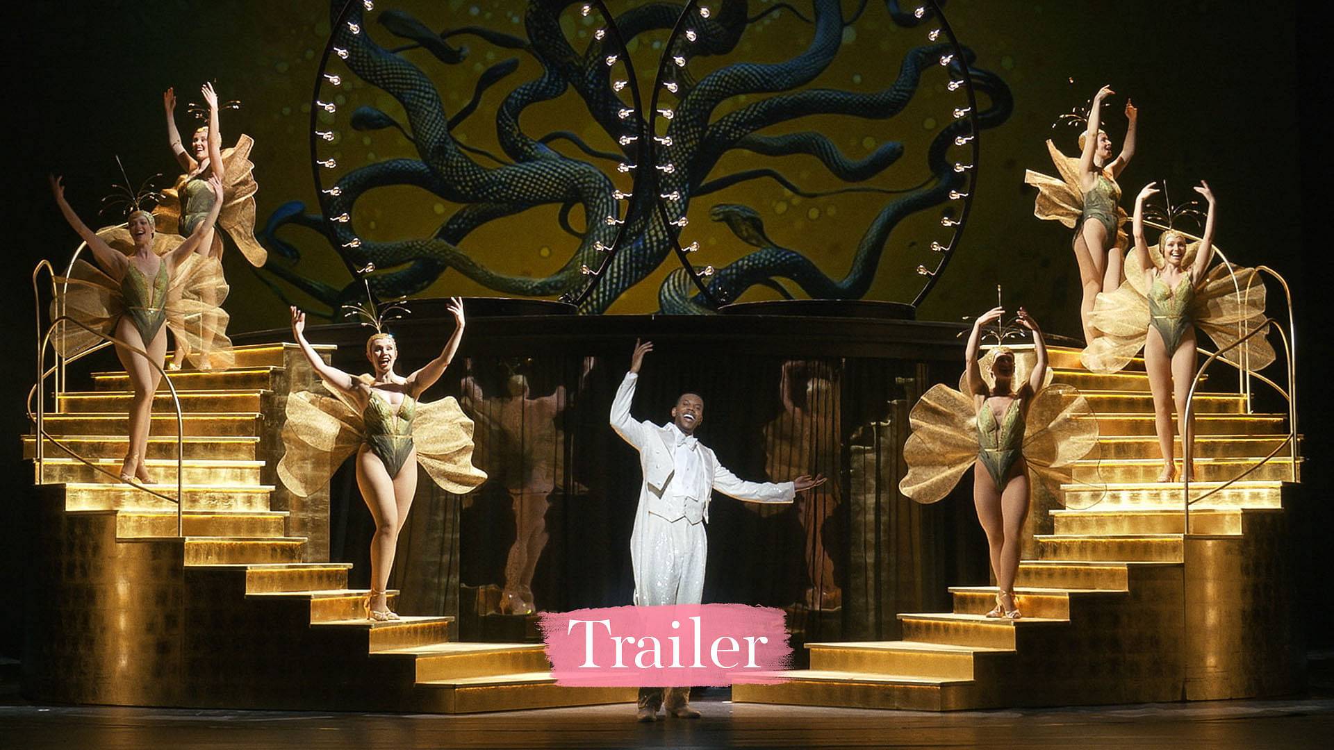 Follies (Musical) - Volksoper Wien